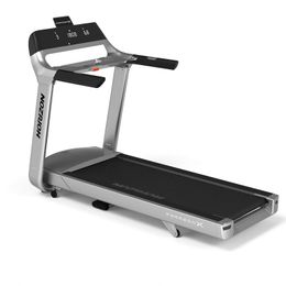 Horizon Fitness Laufband &raquo;Paragon X&laquo; silberfarben