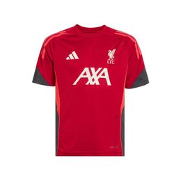 adidas Performance Performance Shirt 'FC Liverpool Tiro 25 Competition' boy Red size 164