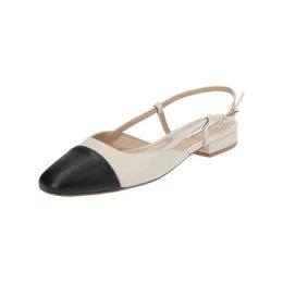 Steve Madden Ballerina &raquo;Ballerinas Leder&laquo; Bone 38 38 Verschluss: Schlie&szlig;e
