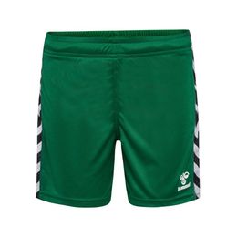 Hummel Kurze Hose Playful Shorts Kinder in EVERGREEN | Gr.: 152