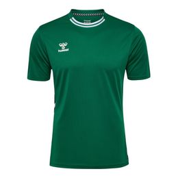 Hummel T-Shirt Playful Ss Erwachsene in EVERGREEN | Gr.: XXL