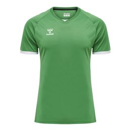 Hummel T-Shirt Raglanärmel Hmlcore Erwachsene in JELLY BEAN | Gr.: 3XL