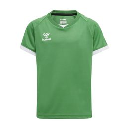 Hummel T-Shirt Raglan&auml;rmel Hmlcore Kinder in JELLY BEAN | Gr.: 164