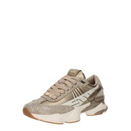Steve Madden Sneaker 'Setback-R' Damen Gr&ouml;&szlig;e 40 beige / gold / wei&szlig;