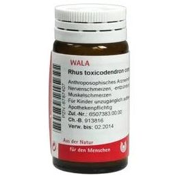 WALA Rhus Toxicodendron Comp 20 G