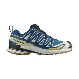Salomon XA Pro 3D V9 GTX Schuhe Herren blau 46.6