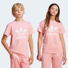 T-Shirt adidas originals "TREFOIL TEE", Jungen, Gr. 164, pink (semi pink spark), Obermaterial: 100% Baumwolle, Rundhals, Shirts T-Shirt