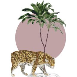 Bild Komar "Botanical Garden Jaguar", rosa (farbe bild(er): rosa), B:30cm H:40cm, Holz, Papier, Bilder, Bild, Wandbild zur Dekoration - ohne Rahmen