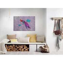 A.S. Cr&eacute;ation Leinwandbild A.S. CR&Eacute;ATION "peacock 3", bunt (farbe rahmen: holzfarben, farbe bild(er): lila, rot, blau), B:90cm H:60cm, Holz, Stahl, Bilder, Leinwandbild, Keilrahmen Bild Lila Bunt Pfau Leinwand-Bild Wohnzimmer modern Kinder