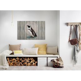 A.S. Cr&eacute;ation Leinwandbild A.S. CR&Eacute;ATION "born to be wild 4", wei&szlig; (farbe rahmen: holzfarben, farbe bild(er): grau, schwarz, wei&szlig;), B:90cm H:60cm, Holz, Stahl, Bilder, Leinwandbild, Keilrahmen Holzoptik Pinguin Tiere Leinwand-Bild Wohnzimmer modern