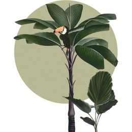 Bild Komar "Botanical Garden Palmtree", gr&uuml;n (farbe bild(er): gr&uuml;n), B:30cm H:40cm, Holz, Papier, Bilder, Bild, Wandbild zur Dekoration - ohne Rahmen
