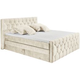 Boxspringbett ED EXCITING DESIGN ""Cashfield", OTTOs Choice Topseller inkl. zwei Bettkästen & Topper", beige, B:200cm L:225cm, 100% Polyester, Komplettbetten, Boxspringbett, erhältlich in den Größen 160x200cm und 180x200cm, Topseller