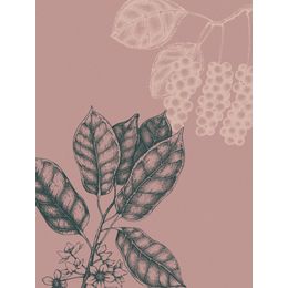 Bild Komar "Wild Berry", rosa (farbe bild(er): rosa), B:30cm H:40cm, Holz, Papier, Bilder, Bild, Wandbild zur Dekoration - ohne Rahmen