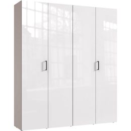 Kleiderschrank WIMEX "Mugano,in 3 Breiten, 2 Tiefen, viele Farben, Made in Germany", front hochglanz lack weiß, korpus saharagrau, griffe schwarz, Schränke, Saharagrau, B/H/T: 160cm x 185cm x 40cm, Ohne Spiegel, Premium, Holzwerkstoff, Kleiderschrank, mit langen oder kurzen Griffen aus Metall, mit oder ohne Spiegel, B:160cm H:185cm T:40cm