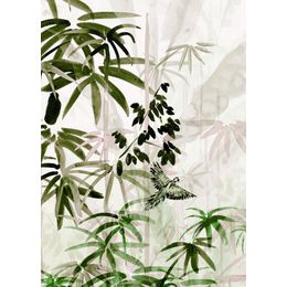 Bild Komar "Bamboo Forest", gr&uuml;n (farbe bild(er): gr&uuml;n, wei&szlig;), B:50cm H:70cm, Holz, Papier, Bilder, Bild, Wandbild zur Dekoration - ohne Rahmen