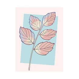 Bild Komar "Cinderella Plant", bunt (farbe bild(er): bunt), B:40cm H:50cm, Holz, Papier, Bilder, Bild, Wandbild zur Dekoration im Kinderzimmer - ohne Rahmen