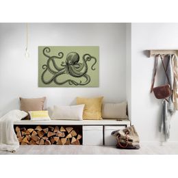 A.S. Cr&eacute;ation Leinwandbild A.S. CR&Eacute;ATION "jules 3", gr&uuml;n (farbe rahmen: holzfarben, farbe bild(er): gr&uuml;n, schwarz, grau), B:90cm H:60cm, Holz, Stahl, Bilder, Leinwandbild, Keilrahmen Octopus Krake Gr&uuml;n Schwarz Leinwand-Bild Wohnzimmer modern