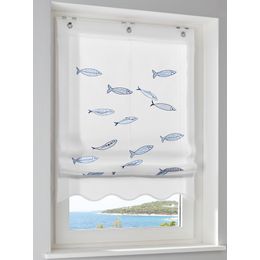 Raffrollo HEINE HOME Gr. 3, wei&szlig;, blau, B:80cm H:130cm, Raffrollos
