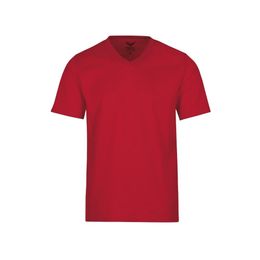 T-Shirt TRIGEMA "TRIGEMA V-Shirt DELUXE", Damen, Gr. M, braun (kirsch), 50% Baumwolle, 50% Polyester, Basic, Shirts T-Shirt