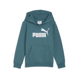 Kapuzenpullover Puma "ESS No. 1 Logo Fleece-Hoodie Jungen", Jungen, Gr. 104, emerald ice gr&uuml;n, Obermaterial: 66% Baumwolle, 34% Polyester; Kapuzenfutter: 100% Baumwolle; Rippe: 3% Elasthan, 97% Baumwolle, regular fit, Pullover Kapuzenpullover