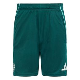 adidas Performance Workout Pants 'FC Arsenal Tiro 25 Competition' male Green size XXL