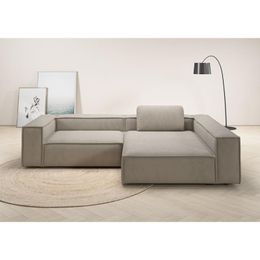 Home Affaire Ecksofa &raquo;Watertown, moderne XXL L-Form, 306 cm breit&laquo; Komfortabel mit tiefer Sitzfl&auml;che &ndash; ideal f&uuml;r gro&szlig;e Wohnr&auml;ume beige 95% Polyester, 