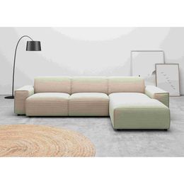 Home Affaire Ecksofa &raquo;Glimminge auch in Breitcord, Feincord, Boucl&eacute; + Easy care-Bezug&laquo; L-Form, Breite 294, Zierkissen beige 12% Polyaxryl, 88% 