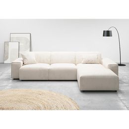 Home Affaire Ecksofa &raquo;Glimminge auch in Breitcord, Feincord, Boucl&eacute; + Easy care-Bezug&laquo; L-Form, Breite 294, Zierkissen wei&szlig; 95% Polyester, 5% Nylon