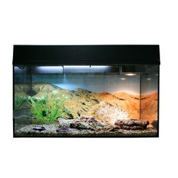 LUCKY REPTILE Terrarium Starter Kit 80 cm "Leopardgecko" schwarz