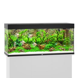 JUWEL Rio 240 LED Komplett Aquarium ohne Schrank schwarz
