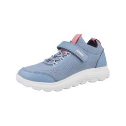Geox Sneaker 'Spherica G.' Jungen Gr&ouml;&szlig;e 32 rauchblau / lachs