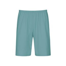 Bermudas TRIGEMA "TRIGEMA Bermuda aus 100% Baumwolle", Herren, Gr. XXL, US-Gr&ouml;&szlig;en, gr&uuml;n (seegras), 100% Baumwolle, Basic, Hosen Bermudas