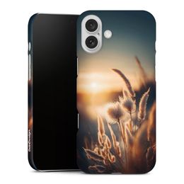 DeinDesign iPhone 16 Plus Handy Premium Case Smartphone Handyh&uuml;lle Schutzh&uuml;lle matt Sun Pampasgras Nature Premium Case