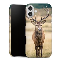 DeinDesign iPhone 16 Plus Handy Premium Case Smartphone Handyh&uuml;lle Schutzh&uuml;lle matt Forrest Deer Meadow Premium Case