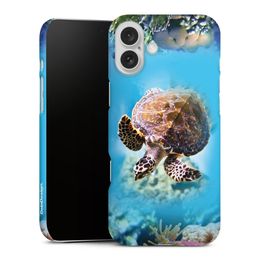 DeinDesign iPhone 16 Plus Handy Premium Case Smartphone Handyh&uuml;lle Schutzh&uuml;lle matt Ocean Turtle Animals Premium Case