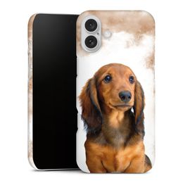 DeinDesign iPhone 16 Plus Handy Premium Case Smartphone Handyh&uuml;lle Schutzh&uuml;lle matt Pet Dachshund Dog Premium Case