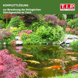 T.I.P. Teichfilter-Set - Für 4.000 l Teich, 1.000 l/h, UV-C 9 W, inkl. Pumpe/Filtermaterial, MTS 4000 UV 9, 30296
