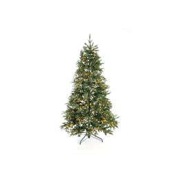 K&uuml;nstlicher Weihnachtsbaum 'Sherwood' Fichte mit 800 LEDs in warmwei&szlig;/bunt, Fernbedienung, St&auml;nder &Oslash; 134 x 210 cm