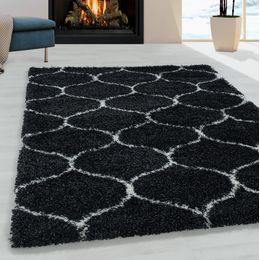 Hochflor-Teppich Ayyildiz Teppiche "SALSA 3201", grau (anthrazit), B:60cm H:50mm L:110cm, Polypropylen (PP), Teppiche, auch in rund, Pflegeleicht / Strapazierfähig / Shaggy/ Wohnzimmer