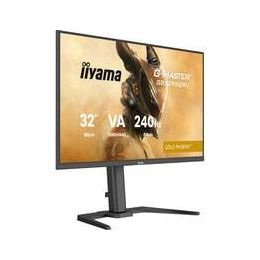 iiyama G-Master GB3295QSU-B1 Gold Phoenix, Gaming-Monitor 80 cm (31.5 Zoll), schwarz (matt), QHD, VA, HDMI, DP, FreeSync Premium, 240Hz Panel