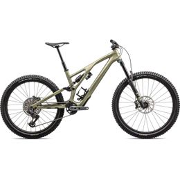 Specialized Stumpjumper Evo Expert | Gr. S4 | Carbon Allmountain-Trail (130-150mm) Gr&uuml;n
