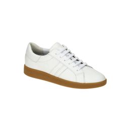 Geox Sneaker Low in Wei&szlig; | Gr.: 38