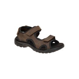 Ecco Trekkingsandalen in Braun | Gr.: 48