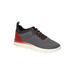 Geox Sportliche Schn&uuml;rschuhe in Grau | Gr.: 42