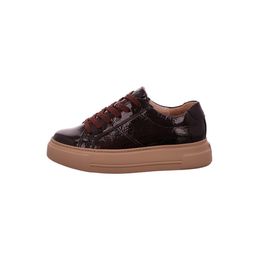 Paul Green Plateau Sneaker in Braun | Gr.: 40
