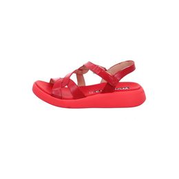 Wonders Sandalen in Rot | Gr.: 40