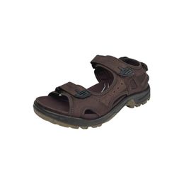 Ecco Trekkingsandalen in Braun | Gr.: 43