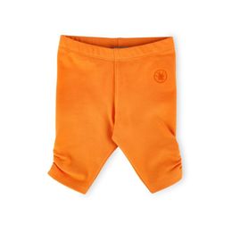 Sigikid Capri Leggings Wild Flamingo in orange | Gr.: 80