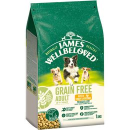 James Wellbeloved Adult Truthahn & Gem&uuml;se 1,5 kg