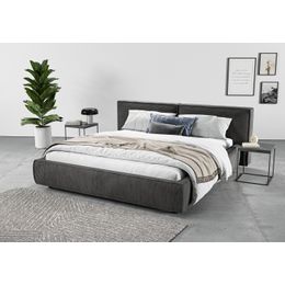 Polsterbett Home Affaire, B:222cm H:91cm L:230cm, grau, 95% Polyester;5% Nylon, Betten, "Adrina mit Biesenoptik, Feincord und Luxus-Microfaser", bis